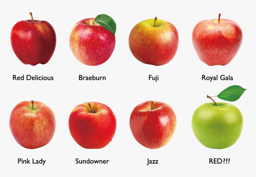 Transparent Apples Png, Png Download , Transparent Png Image - PNGitem