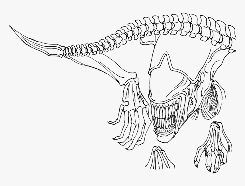 Xenomorph Png, Transparent Png , Transparent Png Image - PNGitem