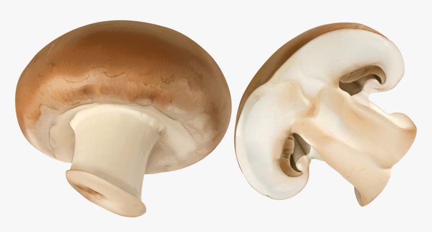 Sliced Mushrooms Clipart