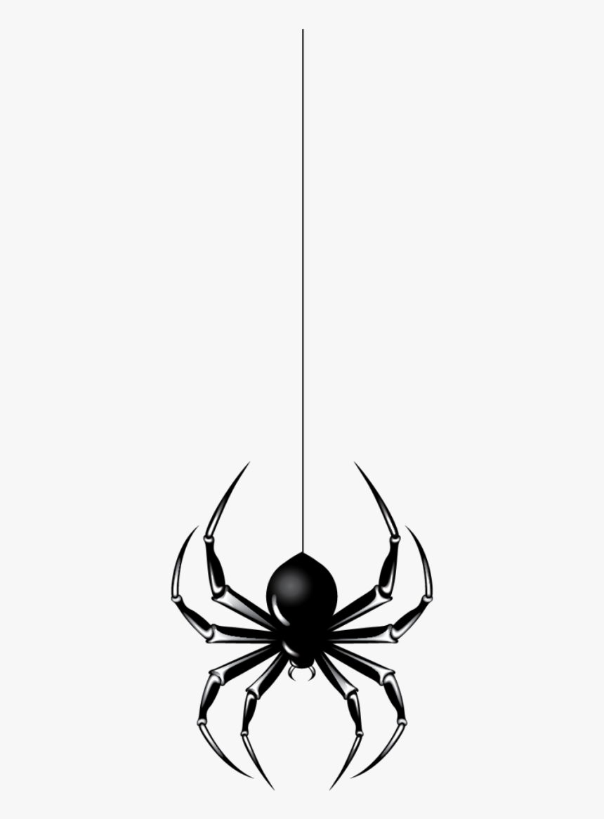 Halloween Spider Png, Transparent Png , Transparent Png Image - PNGitem