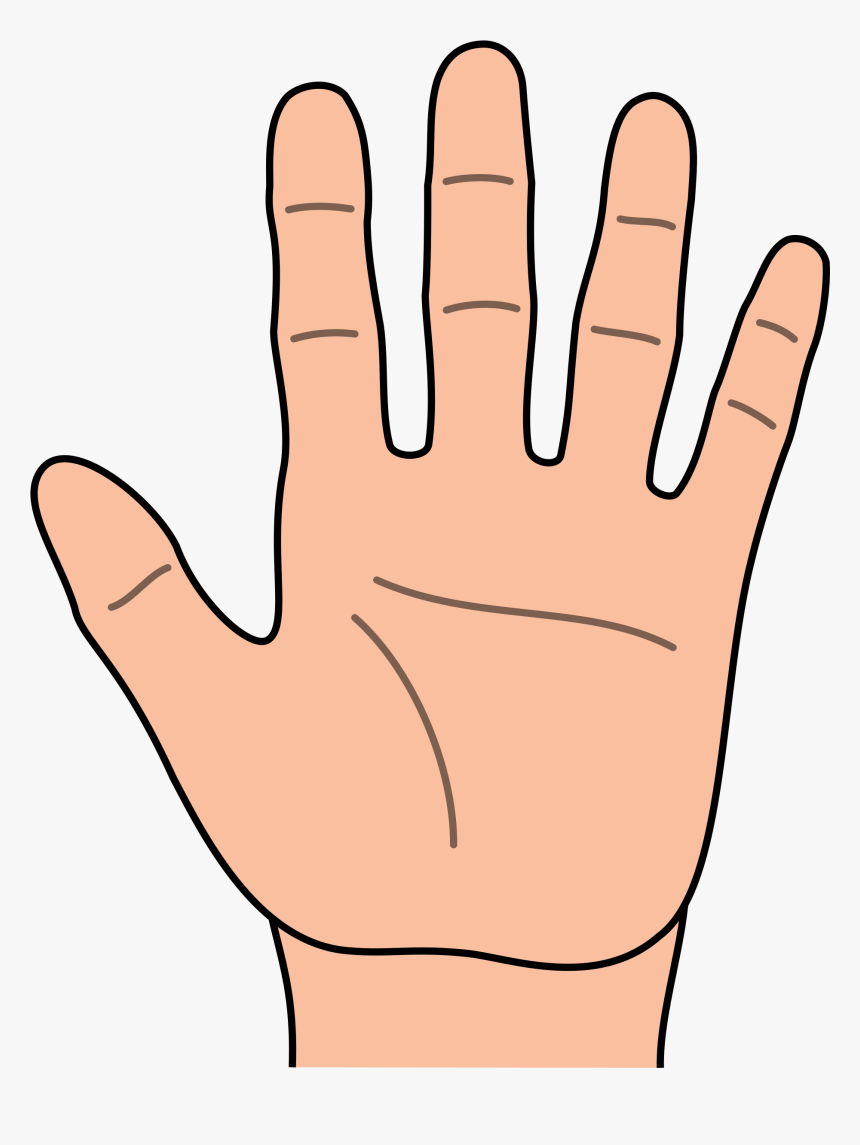 Hand Outline Template