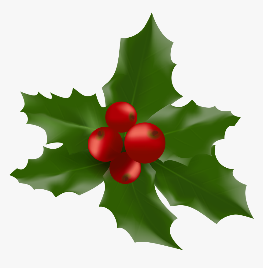 Christmas Mistletoe Large Png Clipart Image - Mistletoe, Transparent ...