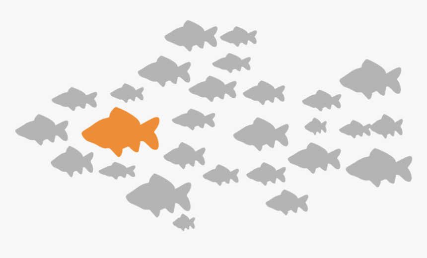 Transparent Flying Fish Png - School Of Fish, Png Download ...