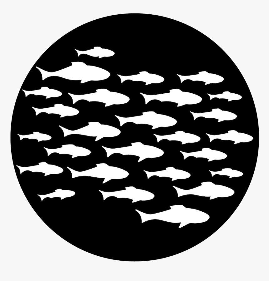 Apollo Sea School Of Fish Gobo Data-large Image //cdn - Under The Sea ...