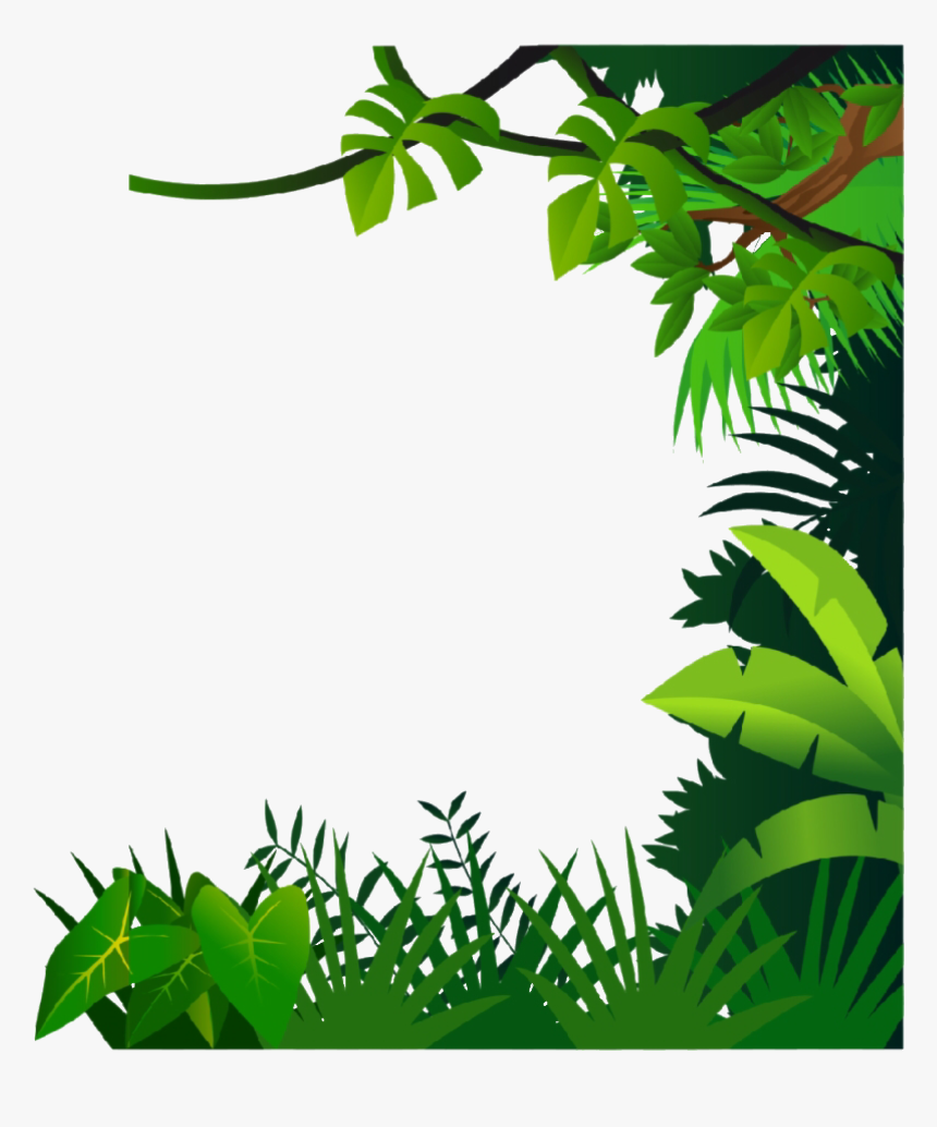 Jungle Frame Clipart, HD Png Download , Transparent Png Image - PNGitem