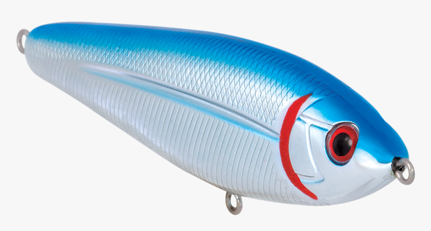 Sardine, HD Png Download , Transparent Png Image - PNGitem