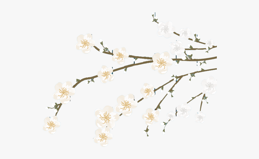 Vector Baby Flower Png, Transparent Png , Transparent Png Image - PNGitem