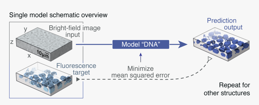 2d Prediction Label, HD Png Download , Transparent Png Image - PNGitem