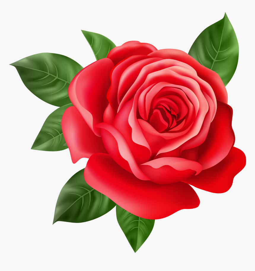 Red Rose Transparent Png Clip Art, Png Download , Transparent Png Image ...