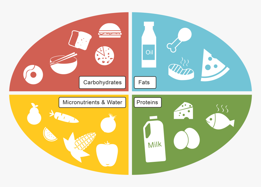 Graphic Freeuse Carbohydrate Drawing Protein Food - Carbohydrates Fats ...