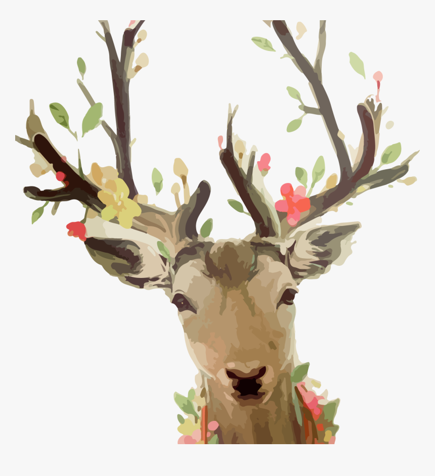 Watercolor Deer Antlers Png, Transparent Png , Transparent Png Image ...