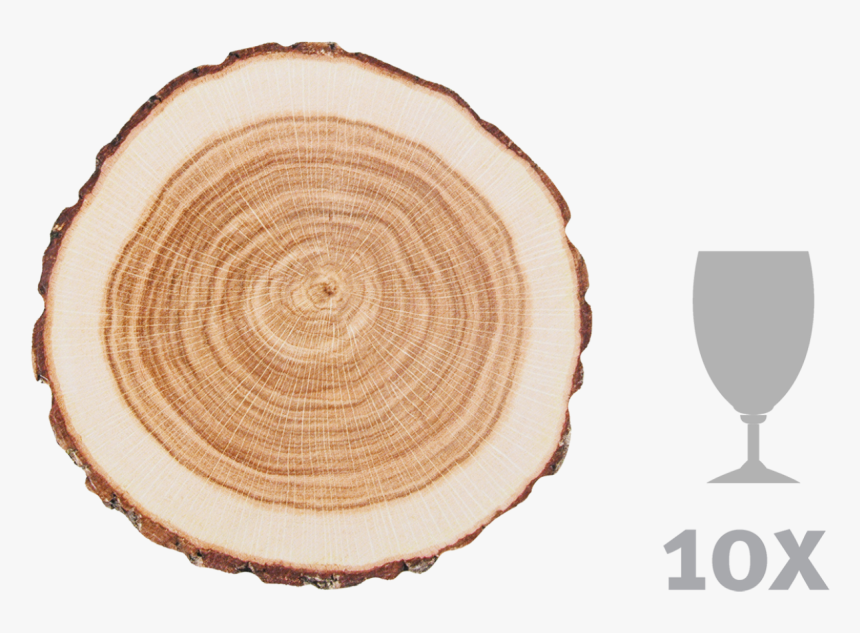 Coasters Paper Tree Trunk Set/10, HD Png Download , Transparent Png ...