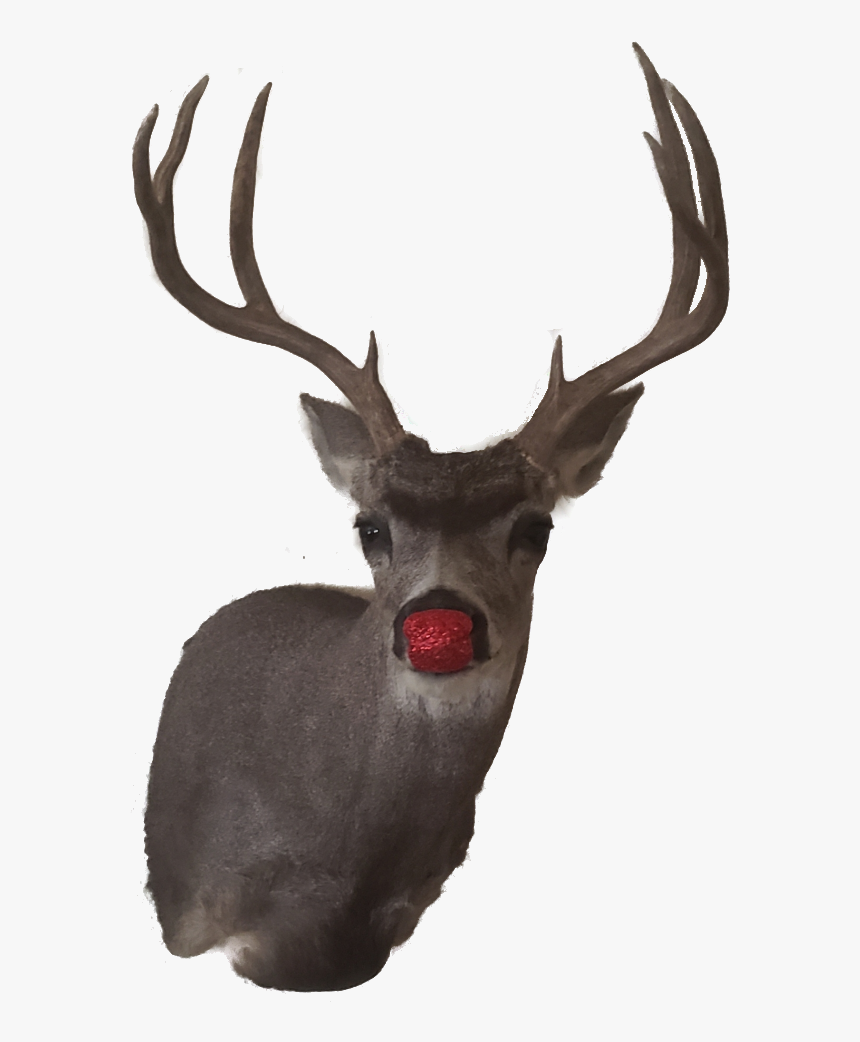 Rudolph Png, Transparent Png , Transparent Png Image - PNGitem