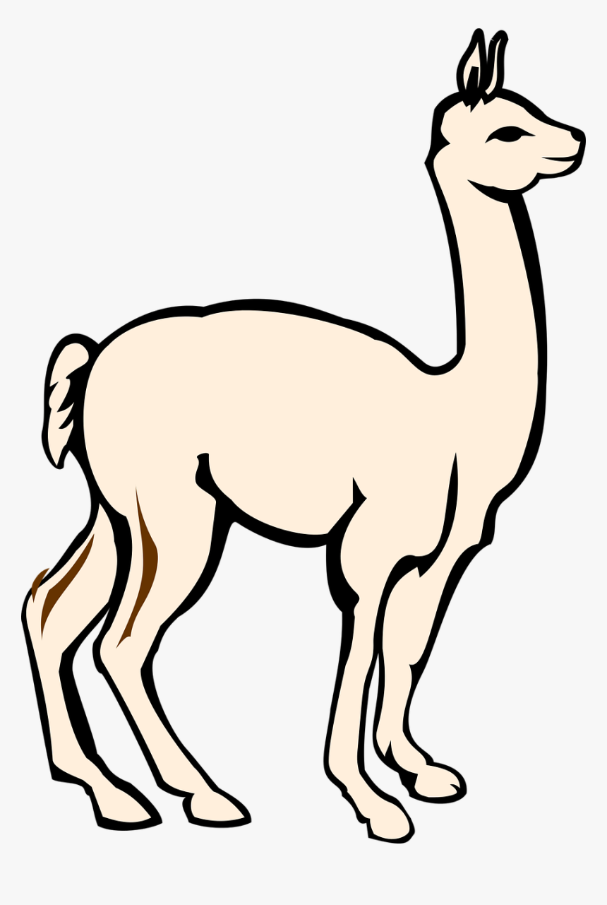 Alpaca Png, Transparent Png , Transparent Png Image - PNGitem