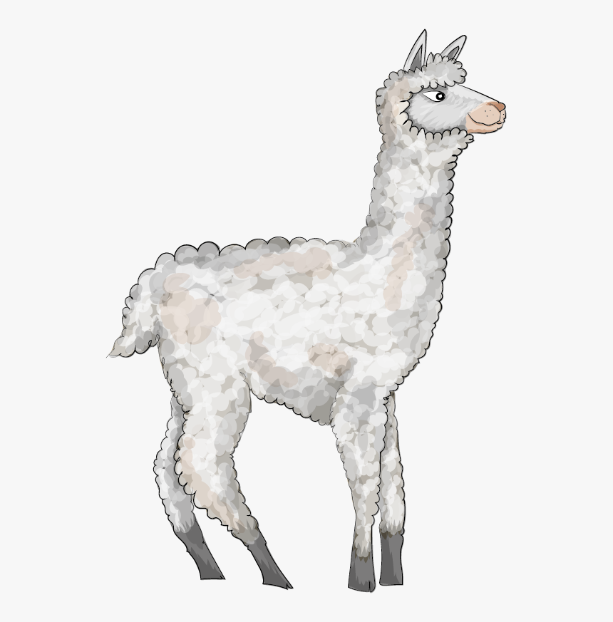Alpaca Png, Transparent Png , Transparent Png Image - PNGitem