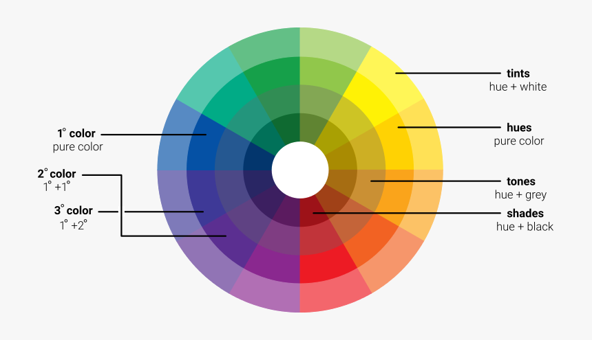 Color Wheel Png, Transparent Png , Transparent Png Image - PNGitem