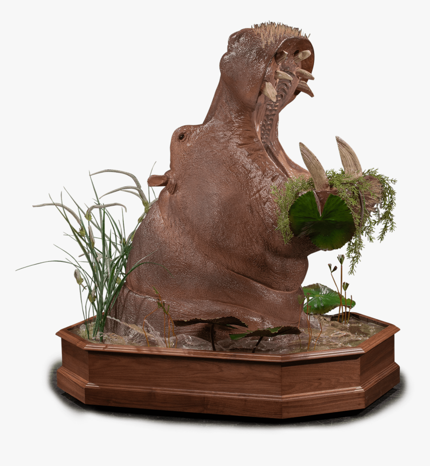 Hippo Png, Transparent Png , Transparent Png Image - PNGitem