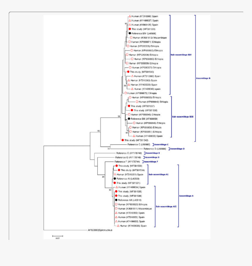Mlg Joint Png, Transparent Png , Transparent Png Image - PNGitem