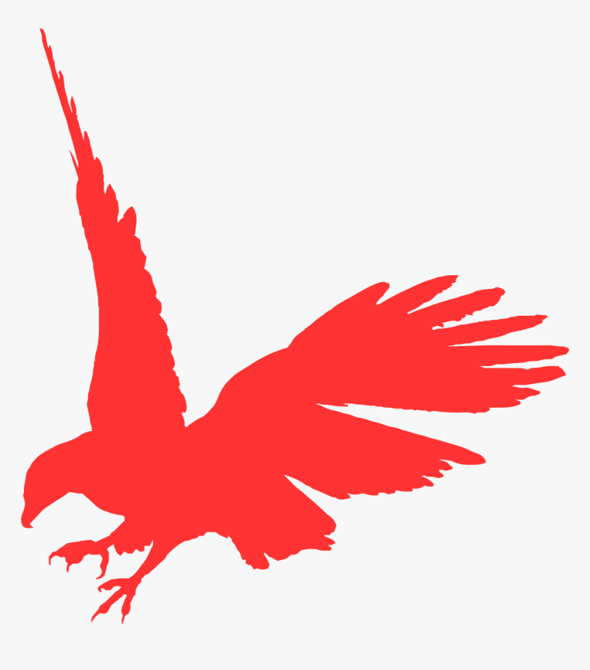 Transparent Big Bird Face Png, Png Download , Transparent Png Image ...