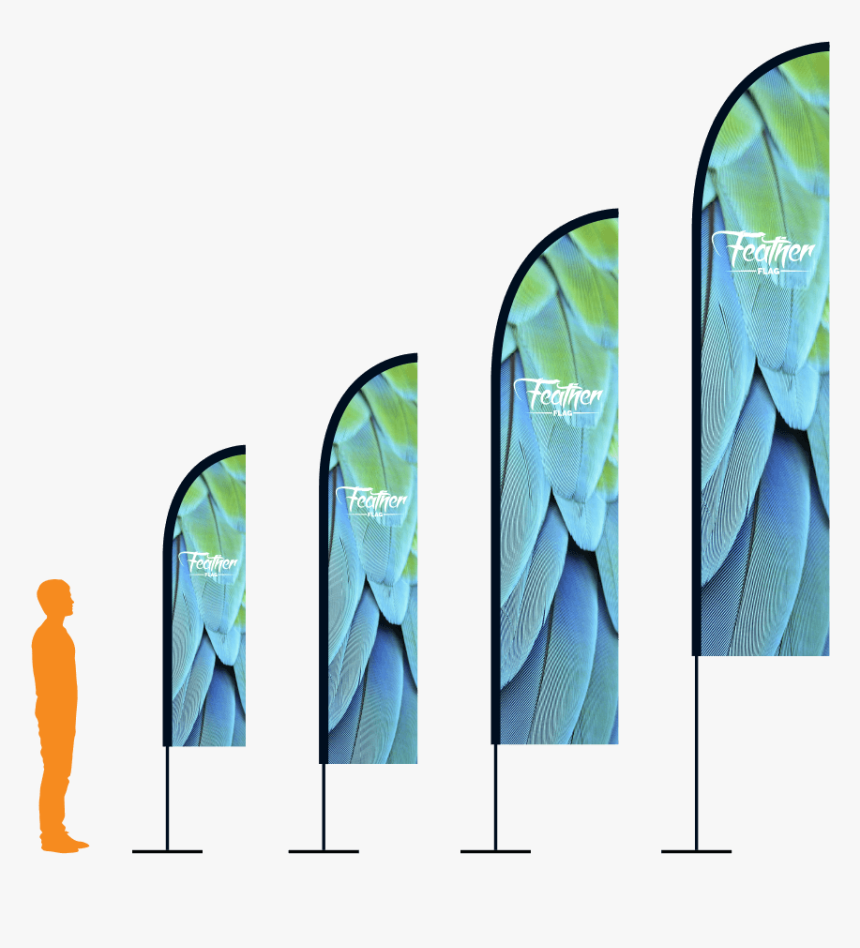 Transparent Feather Vector Png, Png Download , Transparent Png Image ...