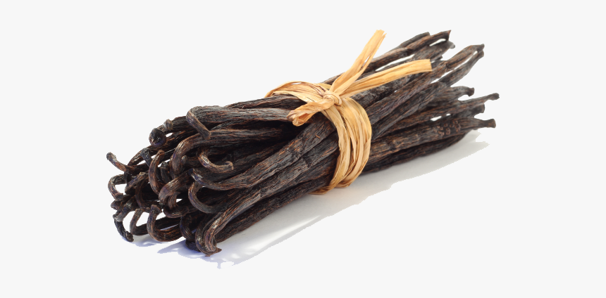 Vanilla Bean Png Transparent Picture, Png Download , Transparent Png ...