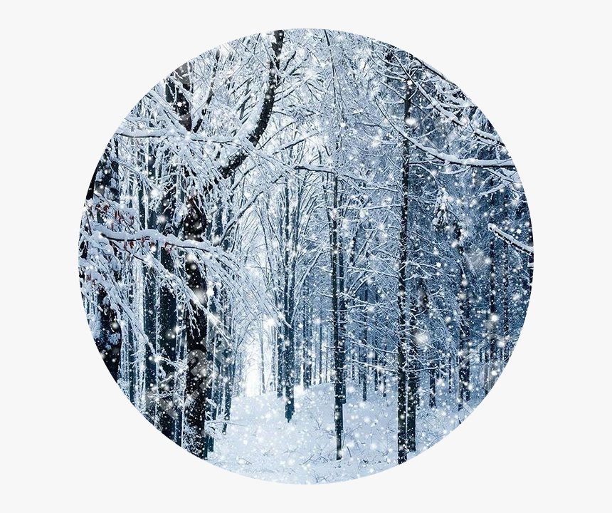 #icon #overlay #winter #winteroverlay #iconoverlay, HD Png Download ...