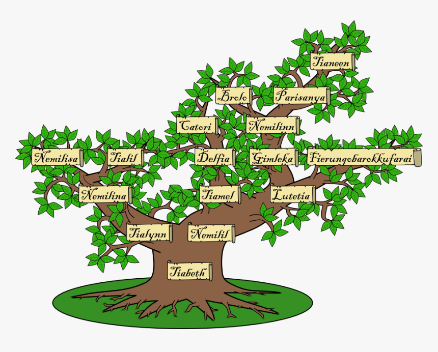 Family Tree , Png Download, Transparent Png , Transparent Png Image ...