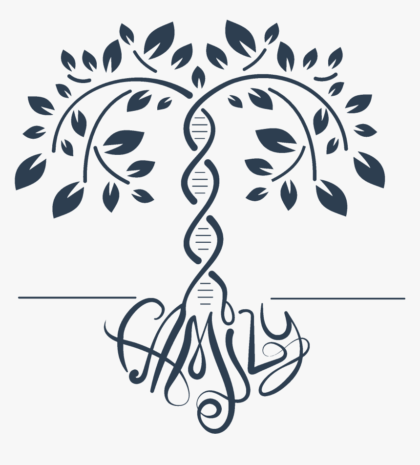 Family Tree, HD Png Download , Transparent Png Image - PNGitem