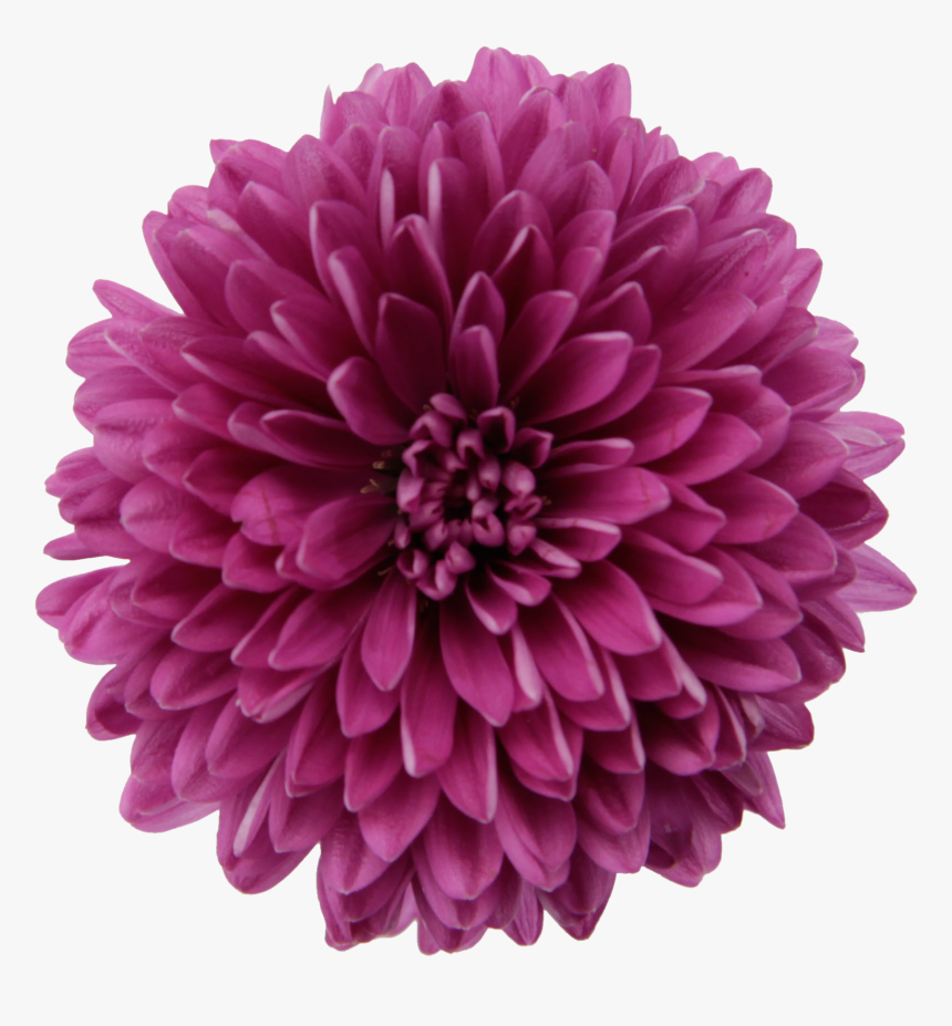 Flower Stand Png, Transparent Png , Transparent Png Image - PNGitem