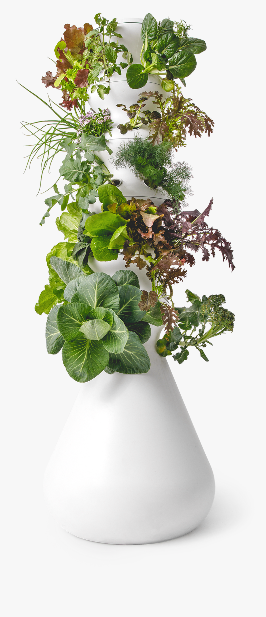 Flower Stand Png, Transparent Png , Transparent Png Image - PNGitem