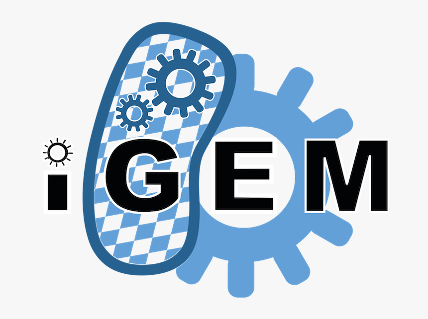 Logo Munich, HD Png Download , Transparent Png Image - PNGitem