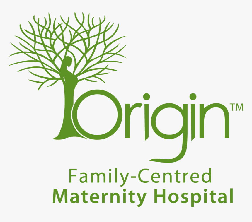 25 Cool Png Tree Images With Transparent Background, Png Download ...