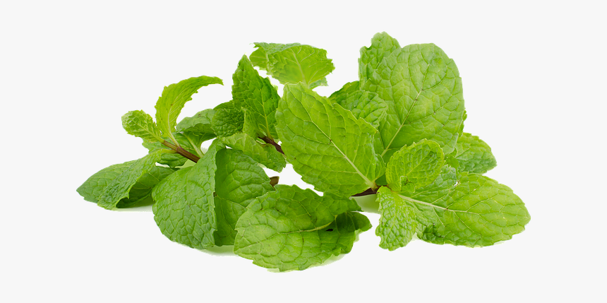 Peppermint Png, Transparent Png , Transparent Png Image - PNGitem
