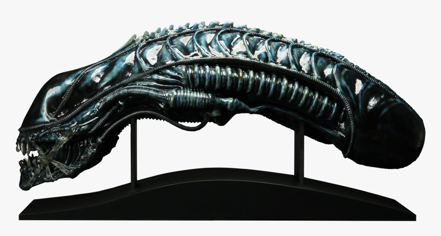 Alien Warrior, HD Png Download , Transparent Png Image - PNGitem