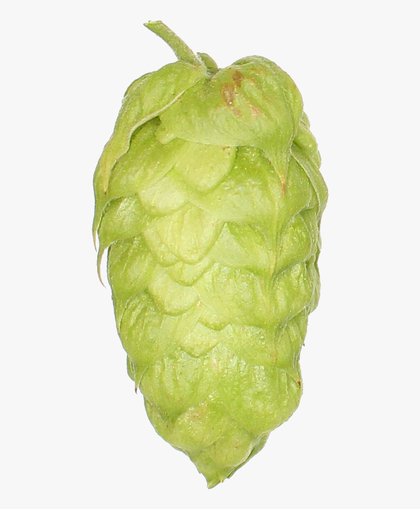 Zeus Pellet Hops 2018 Michigan Grown , Png Download, Transparent Png ...