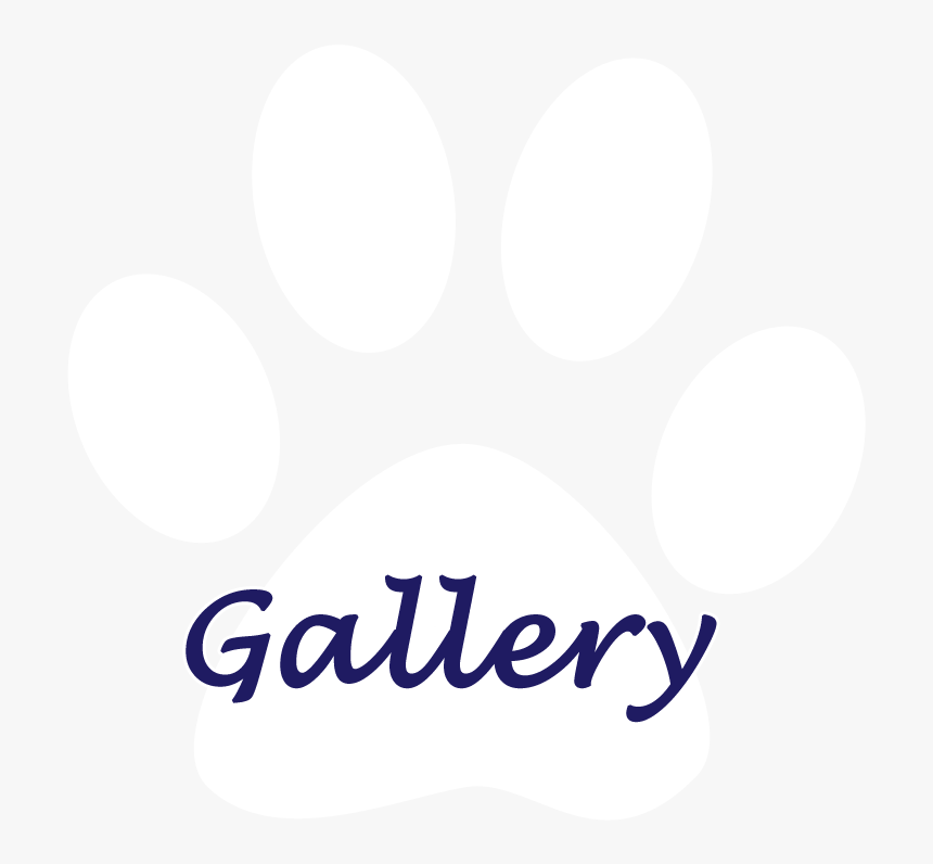 Transparent Cat Paws Png, Png Download , Transparent Png Image - PNGitem