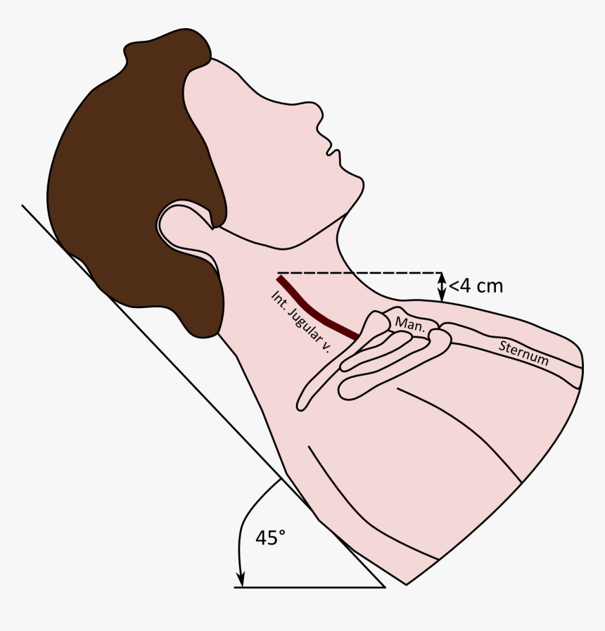 Flat Jugular Veins Photos, HD Png Download , Transparent Png Image ...