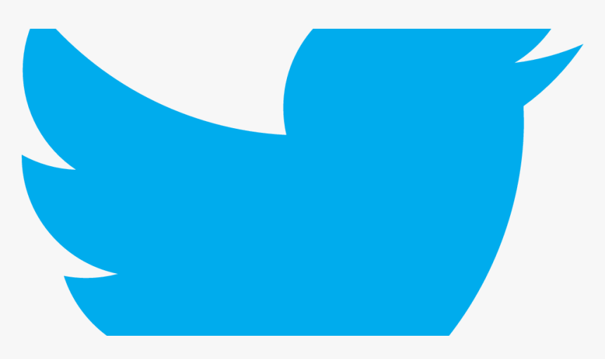 Transparent Twitter Bird Logo Png Transparent, Png Download ...