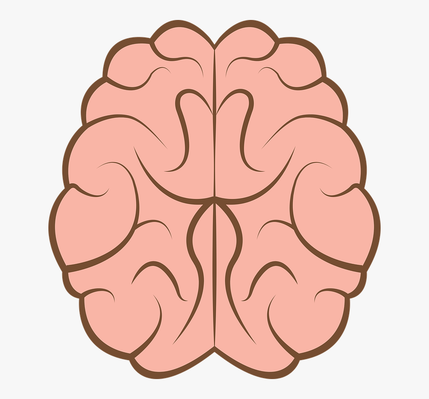 Psychology Png, Transparent Png , Transparent Png Image - PNGitem
