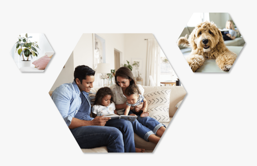 Cory In The House Png, Transparent Png , Transparent Png Image - PNGitem