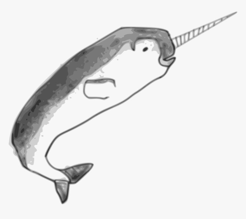Reptile,jaw,fish, HD Png Download , Transparent Png Image - PNGitem
