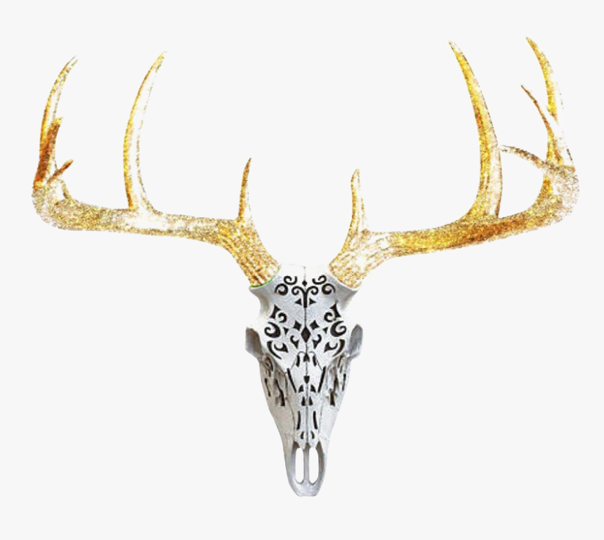 Wall Decor Transparent Png, Png Download , Transparent Png Image - PNGitem