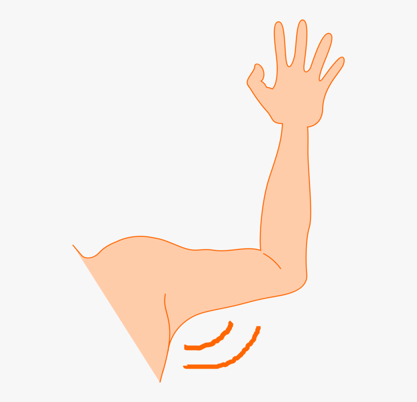 Human Leg,angle,thumb - Left Arm Clipart, HD Png Download , Transparent ...