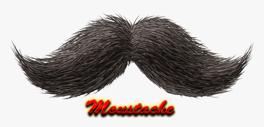 Moustache Png Hd - Mustache Render, Transparent Png , Transparent Png ...