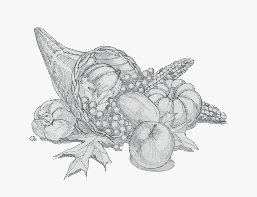 Transparent Cornacopia Png - Cornucopia Sketch Png, Png Download ...