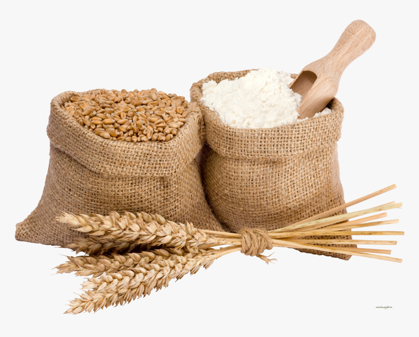 Wheat, HD Png Download , Transparent Png Image - PNGitem