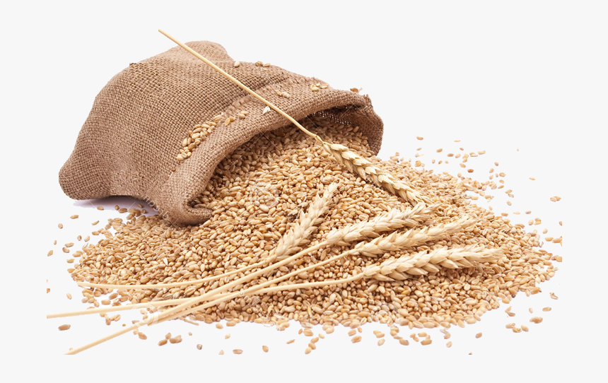 Grain Png Clipart - Grains Png, Transparent Png , Transparent Png Image ...