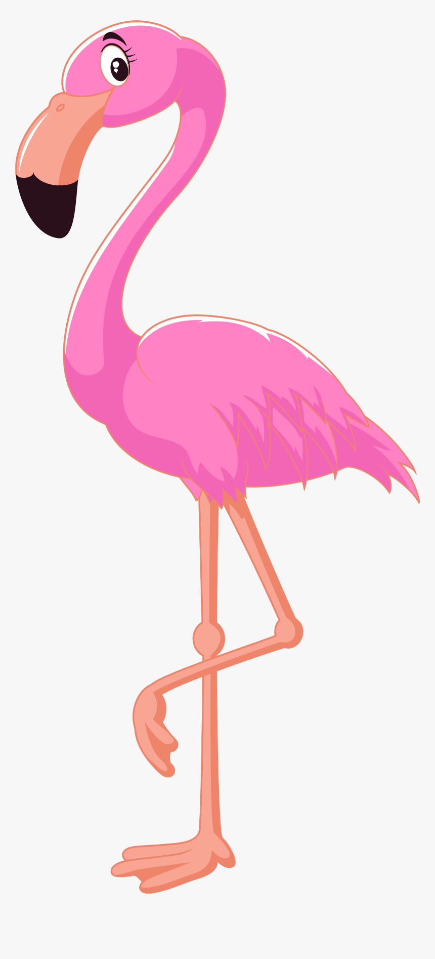Pink Flamingos Telegraph