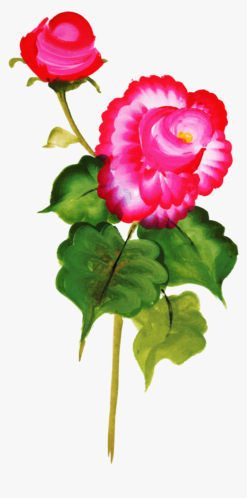 Flower Stem Png, Transparent Png , Transparent Png Image - PNGitem