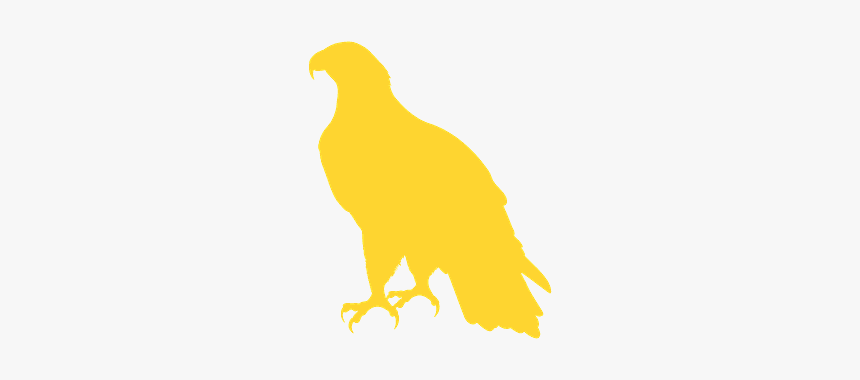 Eagle Silhouette Png, Transparent Png , Transparent Png Image - PNGitem
